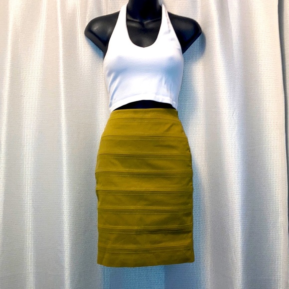 Skirts | Nwt Apmnr Poccnn Skirt | Poshmark
